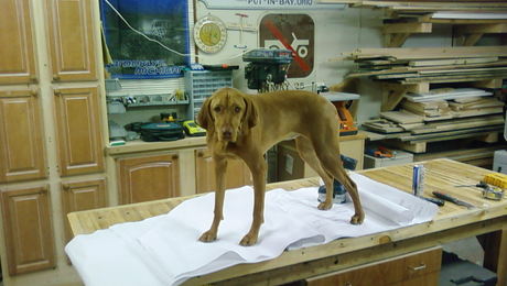 Jobsite Boss - Fine Homebuilding